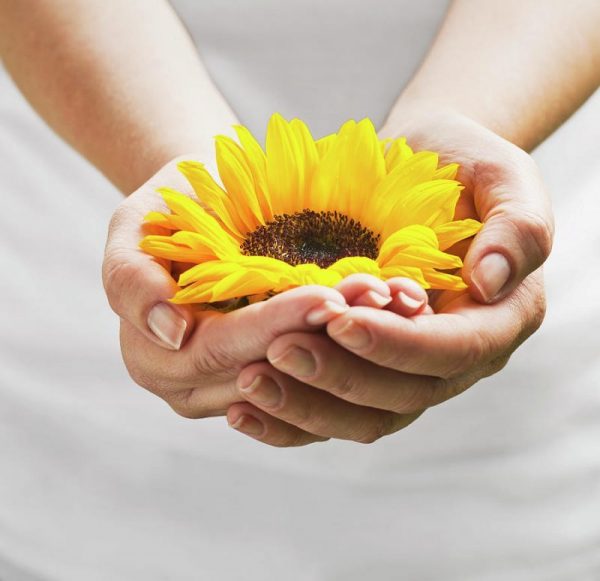 Sunflower Children's Hospice 🌻